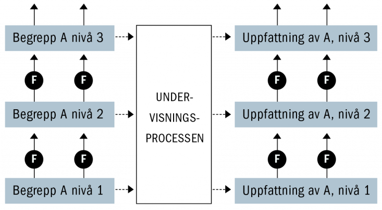 Om diamantdiagnoserna, inledning - NCM
