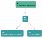 Om diamantdiagnoserna, Rationella tal - NCM